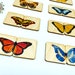 Montessori Wooden Butterfly Matching Game/ Homeschool Learning ...