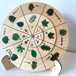 Montessori Tree Leaf Wooden Wheels Activity/ Tree Leaves Match Toys ...