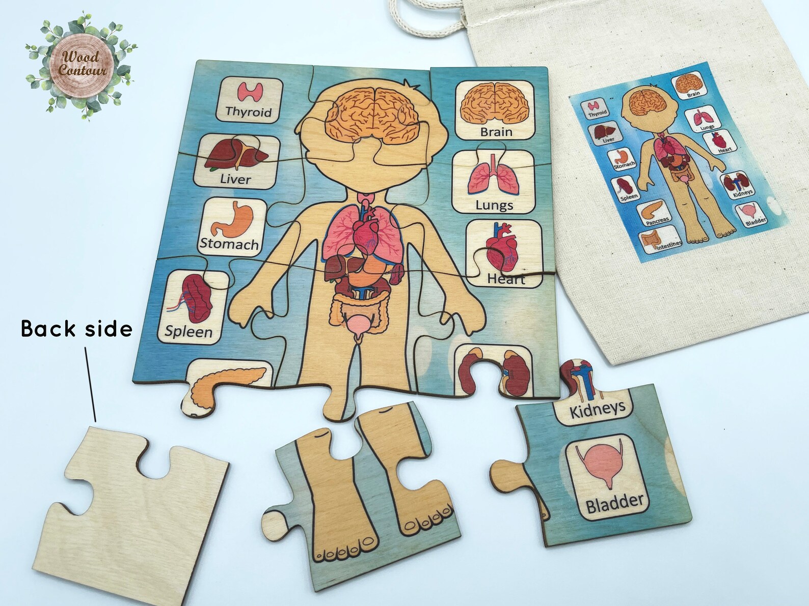 Montessori Wooden Body Parts Jigsaw Puzzle/ Wood Anatomy Human - Etsy
