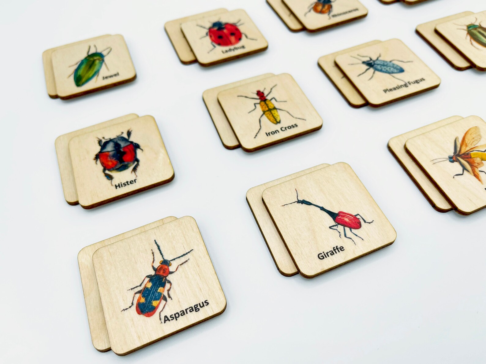 Wooden Beetle Memory Game/ Montessori Homeschool Kindergarten ...