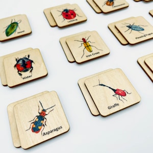 Wooden Beetle Memory Game/ Montessori Homeschool Kindergarten ...
