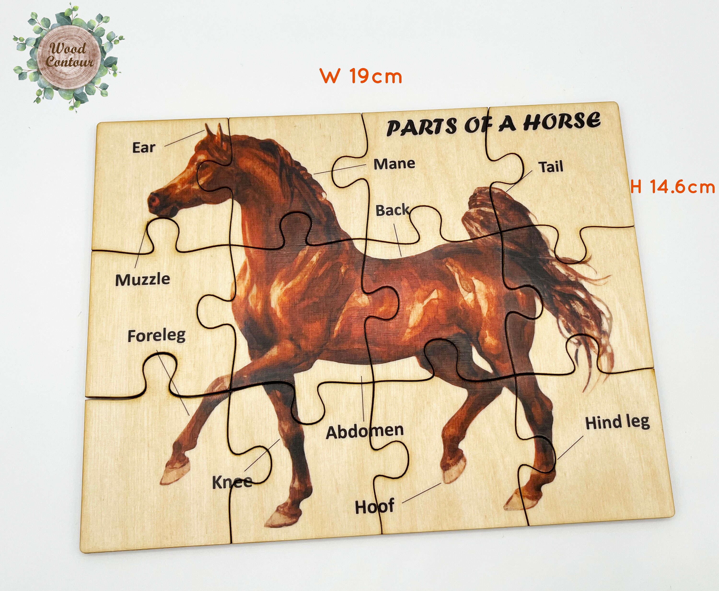 Montessori Wooden anatomy horse puzzle/ Homeschool Preschool | Etsy