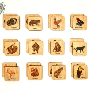 Montessori Rainforest Animals Matching Cards, Wooden South America ...