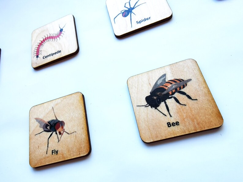 Wooden Insect Bug Memory Game Montessori Insect Bug Matching | Etsy