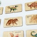 Montessori Wooden Dinosaur Puzzle Game/ Homeschool Preschooler ...