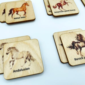 Wooden Montessori Horses Memory Game/ Homeschool Kindergarten ...