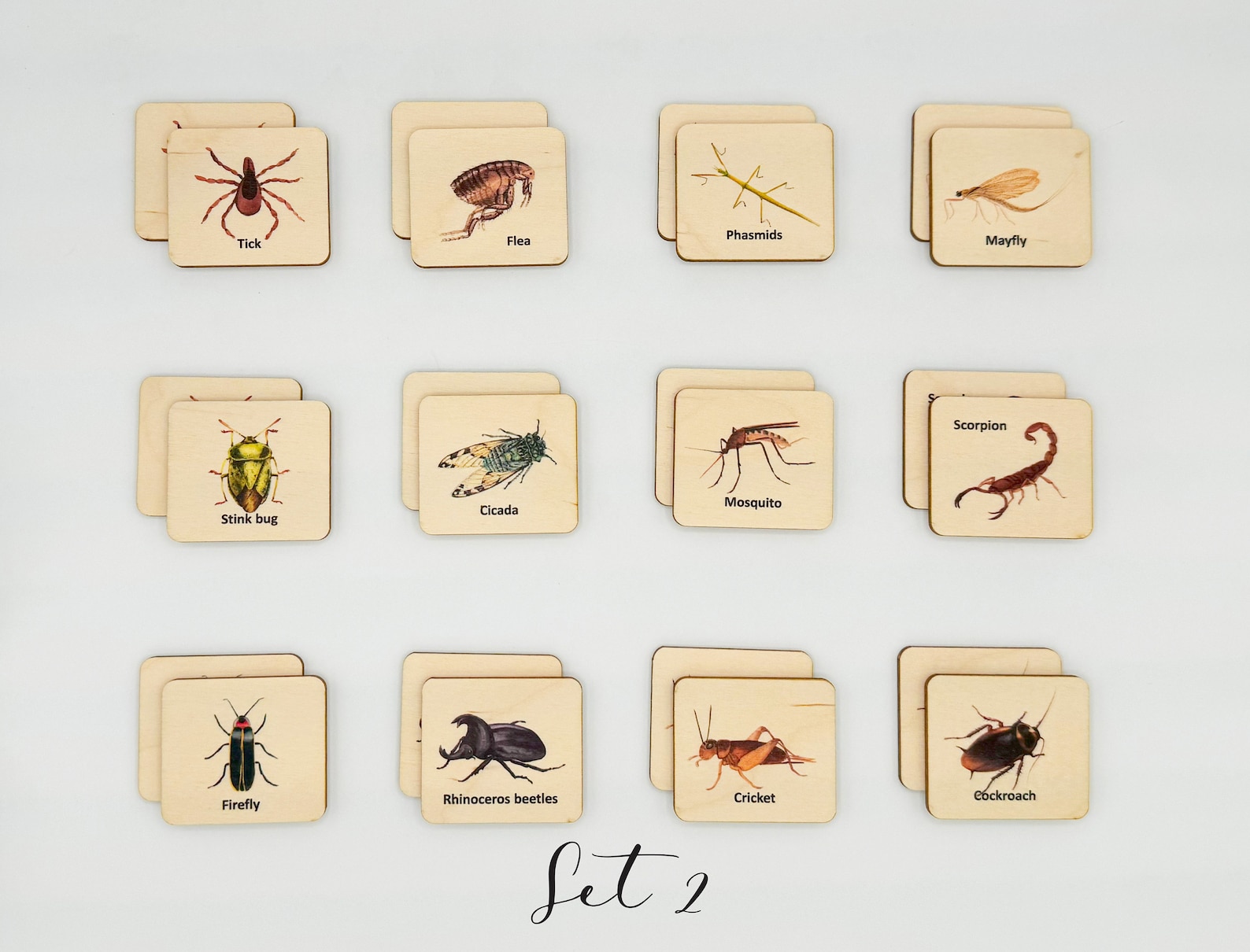 Wooden Insect Bug Memory Game, Montessori Insect Bug Matching Cards ...