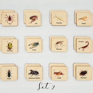 Wooden Insect Bug Memory Game, Montessori Insect Bug Matching Cards ...
