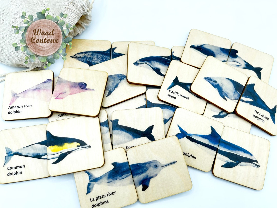 Montessori Wooden Dolphin Matching Game/ Homeschool Learning Materials ...