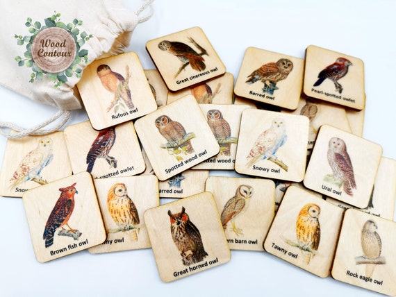 Montessori Wooden Owls Matching Game/memory Game Homeschool | Etsy