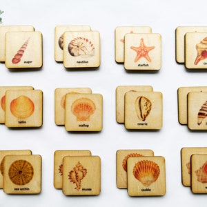 Montessori Wooden Seashell Matching Cards/ Homeschool Preschooler ...