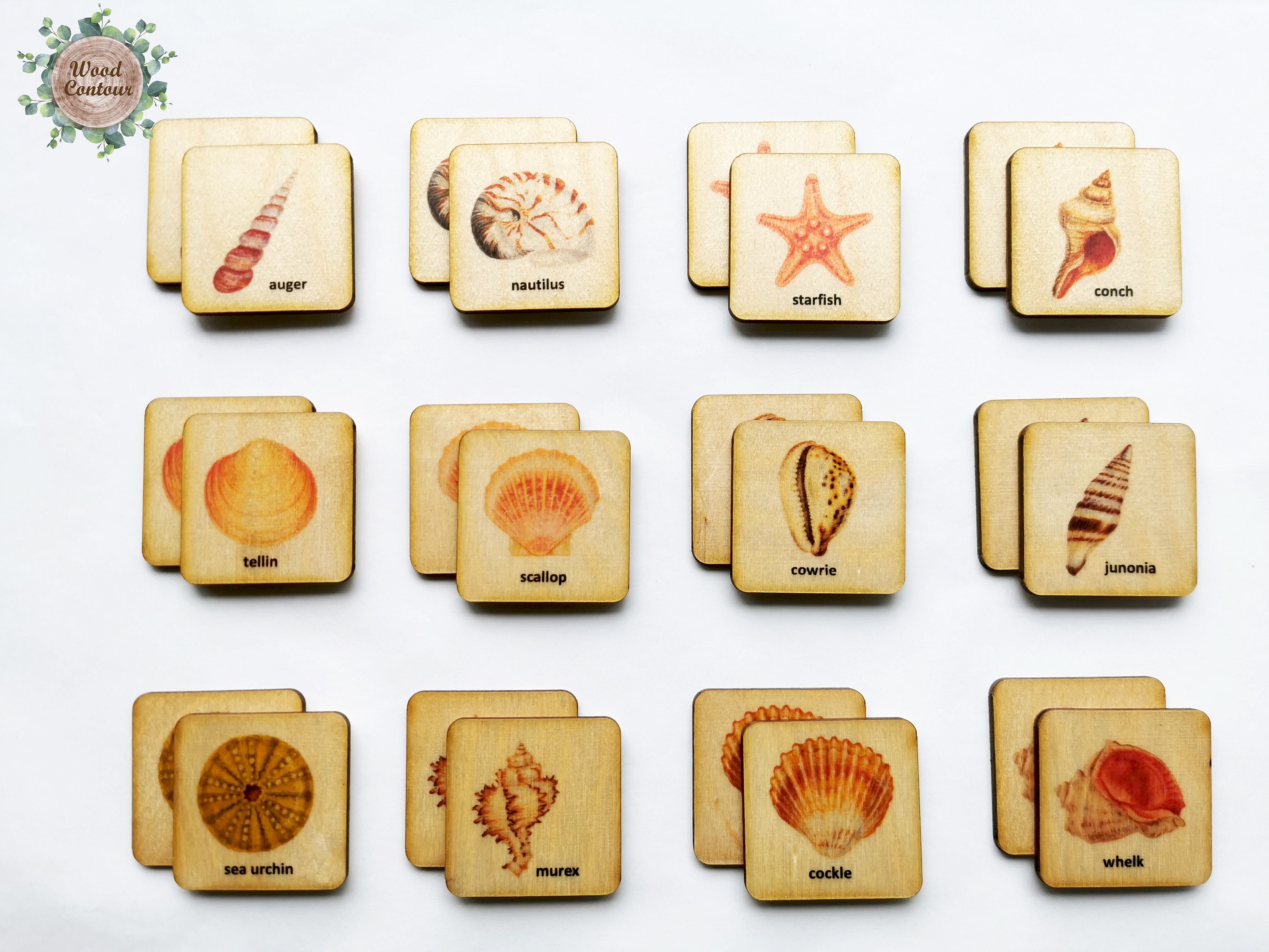 Montessori Wooden Seashell Matching Cards/ Homeschool | Etsy