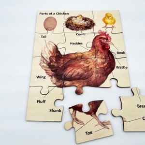 Wooden Chicken Life Cycle Puzzle for Kids Toddler, Montessori Learning ...