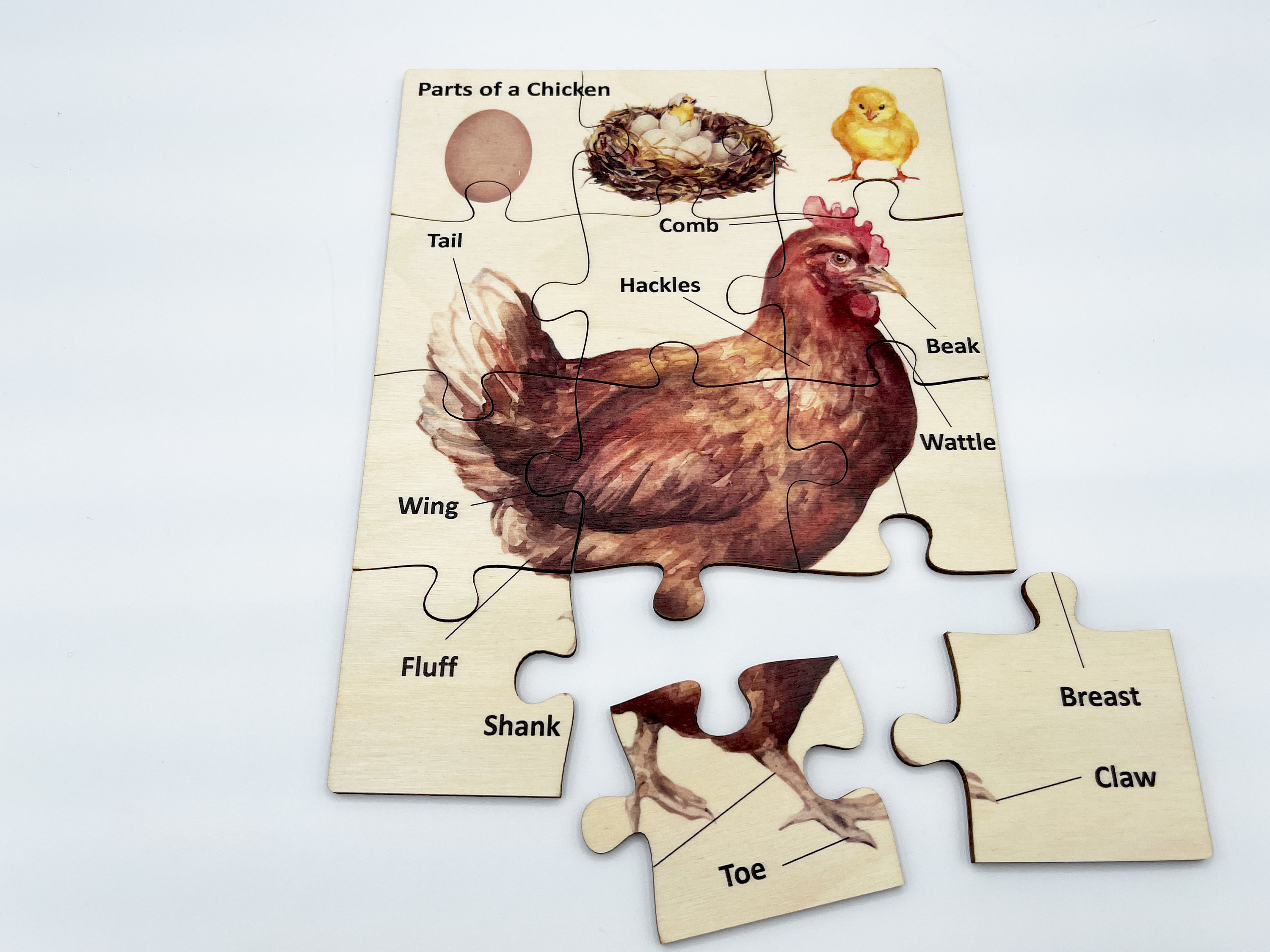 Wooden Chicken Life Cycle Puzzle for Kids Toddler Montessori | Etsy