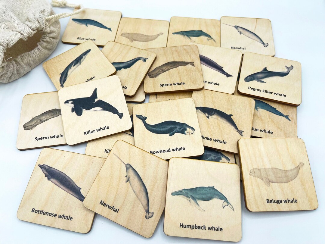 Montessori Wooden Whale Matching Game/ Ocean Animals Whales Memory Game ...