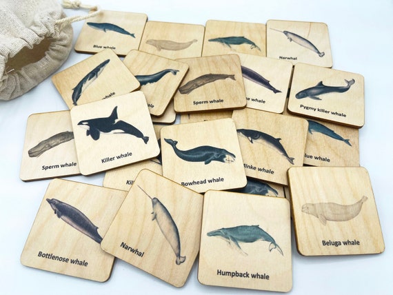 Montessori Wooden Whale Matching Game/ Ocean Animals Whales - Etsy