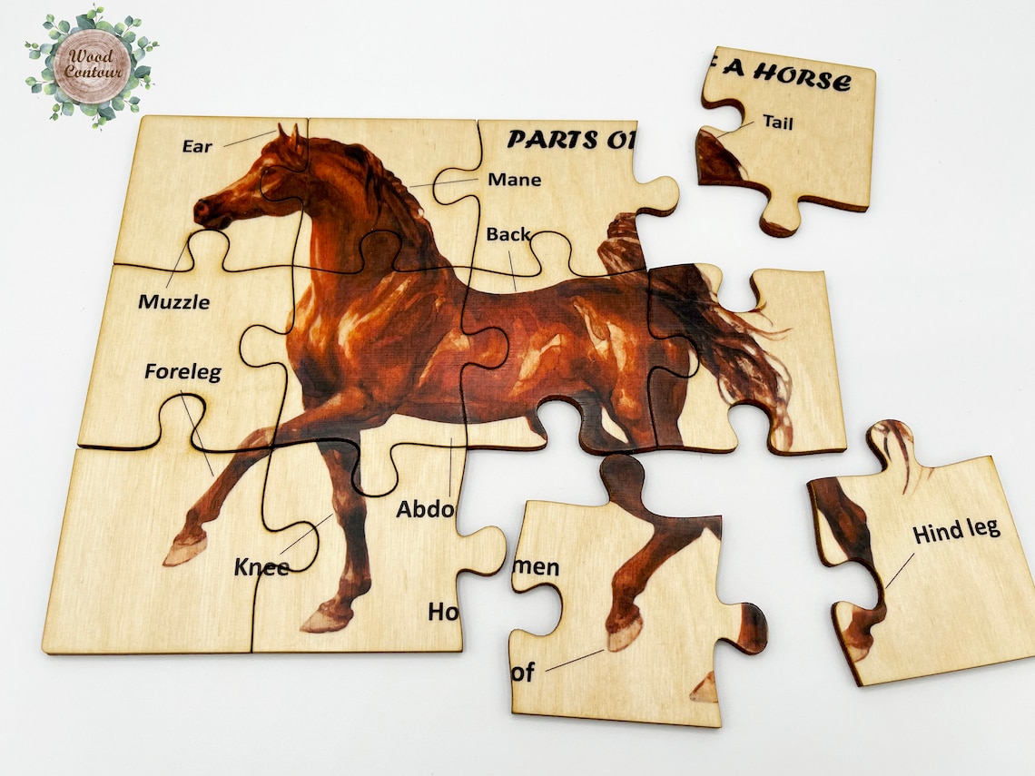 Montessori Wooden Anatomy Horse Puzzle/ Homeschool Preschool - Etsy