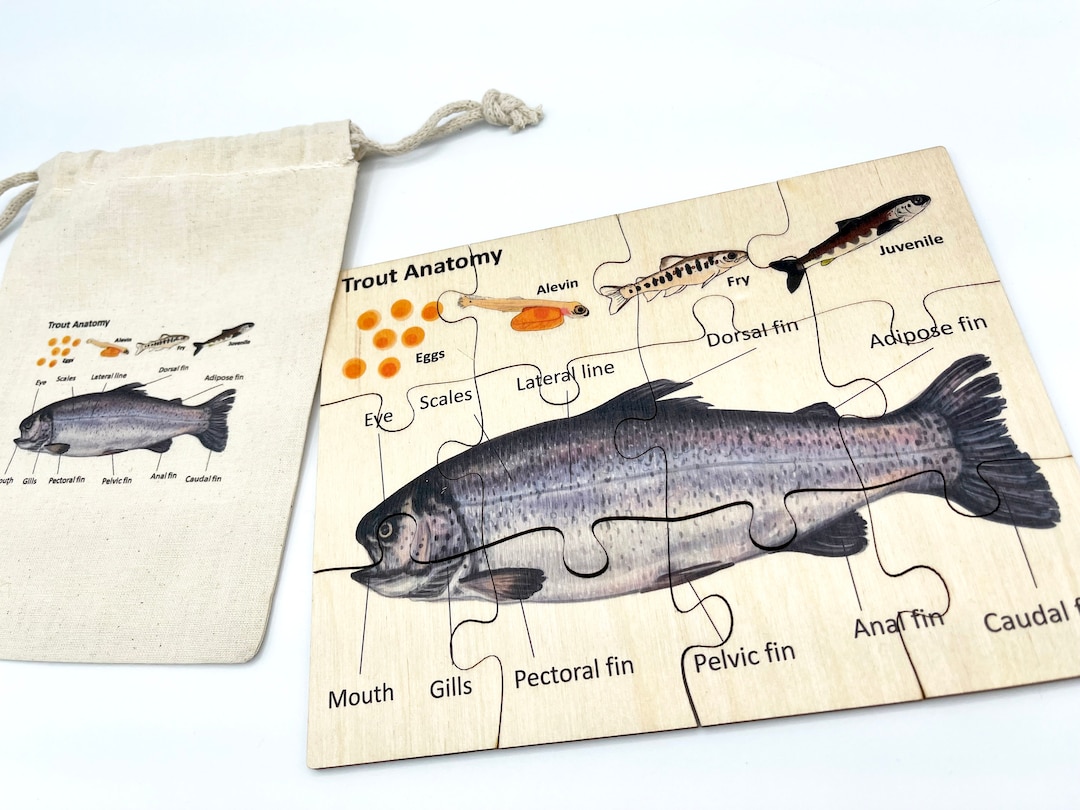 Wooden Trout Fish Anatomy Puzzle for Preschool Toddler ,montessori ...