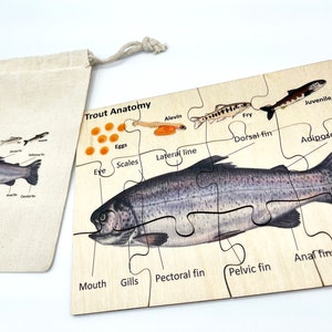 Wooden Trout Fish Anatomy Puzzle for Preschool Toddler ,montessori ...