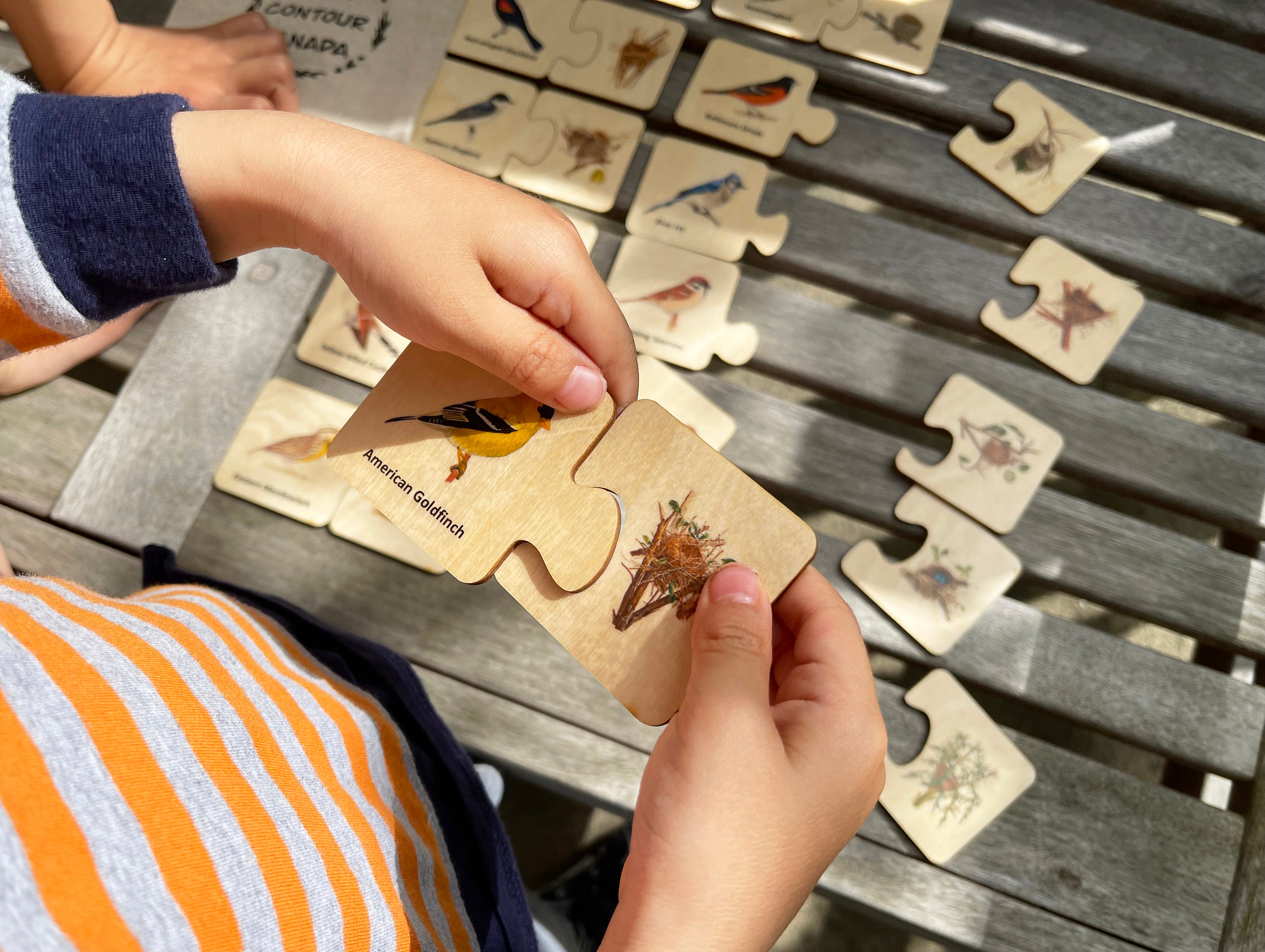Montessori Wood Backyard Birds and Nests Matching Puzzle/ - Etsy Canada