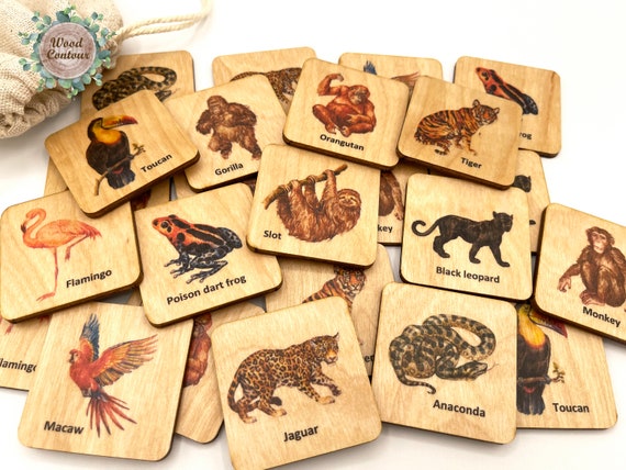 Montessori Rainforest Animals Matching Cards Wooden South | Etsy