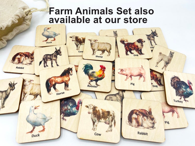 Montessori Wooden Safari Animals Matching Cards/ Bilingual - Etsy
