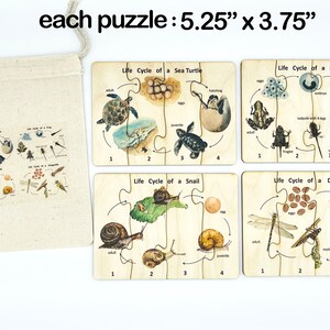 Montessori Life Cycle Puzzle Set/ Kids Learning Activity/ Homeschool ...