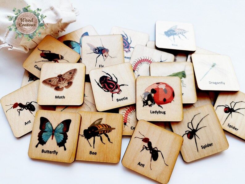 Wooden Insect Bug Memory Game Montessori Insect Bug Matching | Etsy