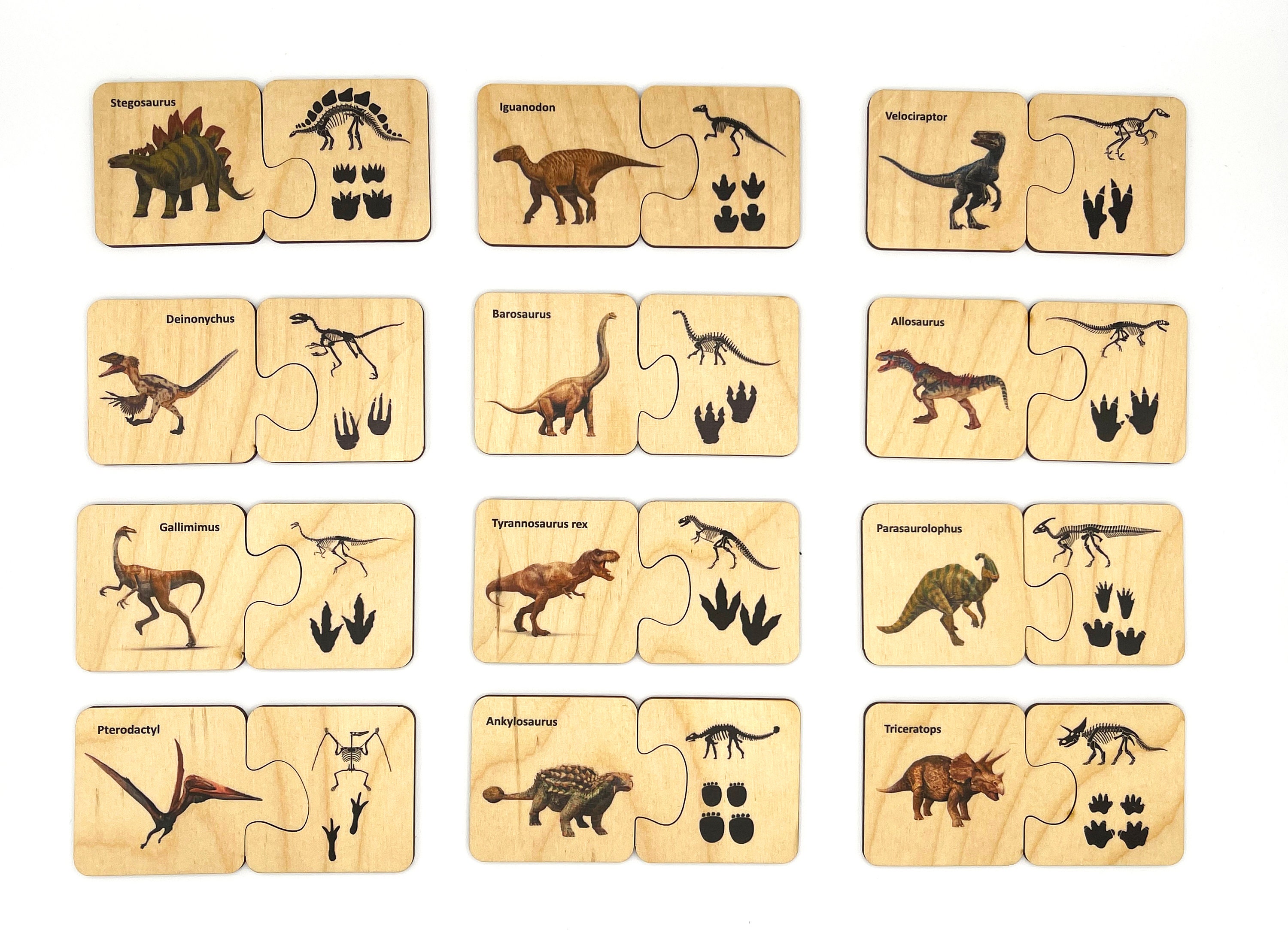Wooden Dinosaurs Track Skeleton Matching Puzzle/ Montessori - Etsy