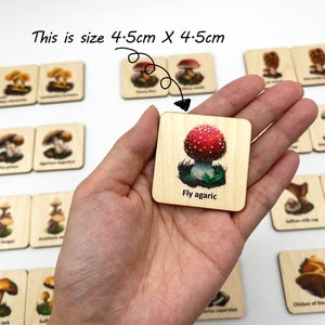 Wooden Mushroom Fungi Matching Cards, Montessori Learning Wild Mushroom ...