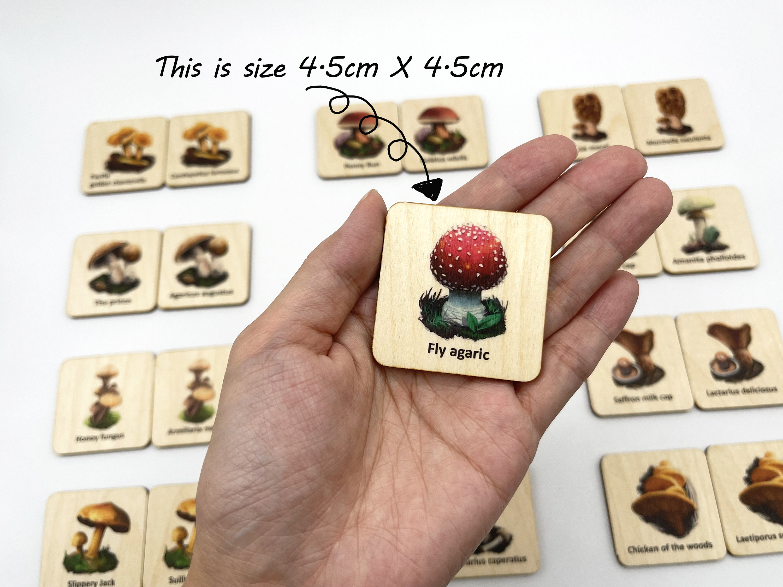Wooden Mushroom Fungi Matching Cards Montessori Learning Wild - Etsy Canada
