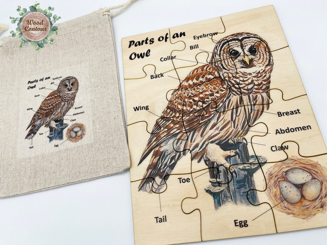 Montessori Wooden Owl Anatomy Jigsaw Puzzle/ Homeschool Preschool ...