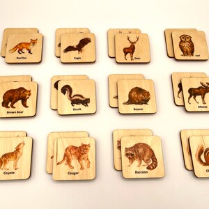 Montessori Wooden North America Animals/ Woodland Animals Matching ...
