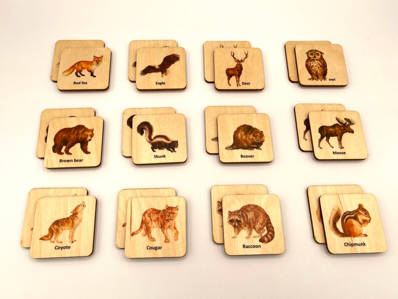 Montessori Wooden North America Animals/ Woodland Animals | Etsy