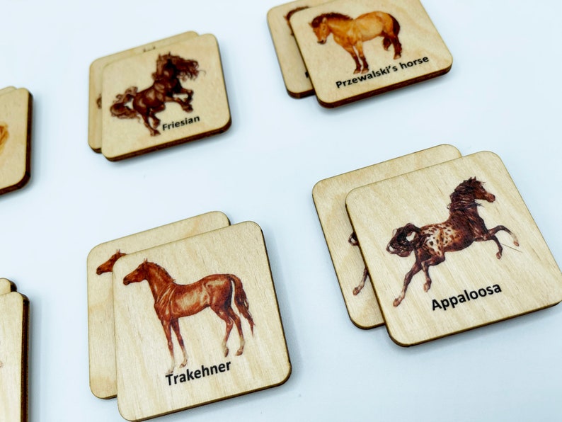 Wooden Montessori Horses Memory Game/ Homeschool Kindergarten ...