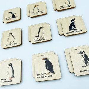 Wooden Penguin Animals Memory Game Matching Cards/montessori ...