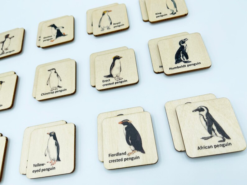 Wooden Penguin Animals Memory Game Matching Cards/montessori | Etsy