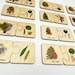 Montessori Wood Tree Leaves Matching Puzzle/ Homeschool Preschooler ...