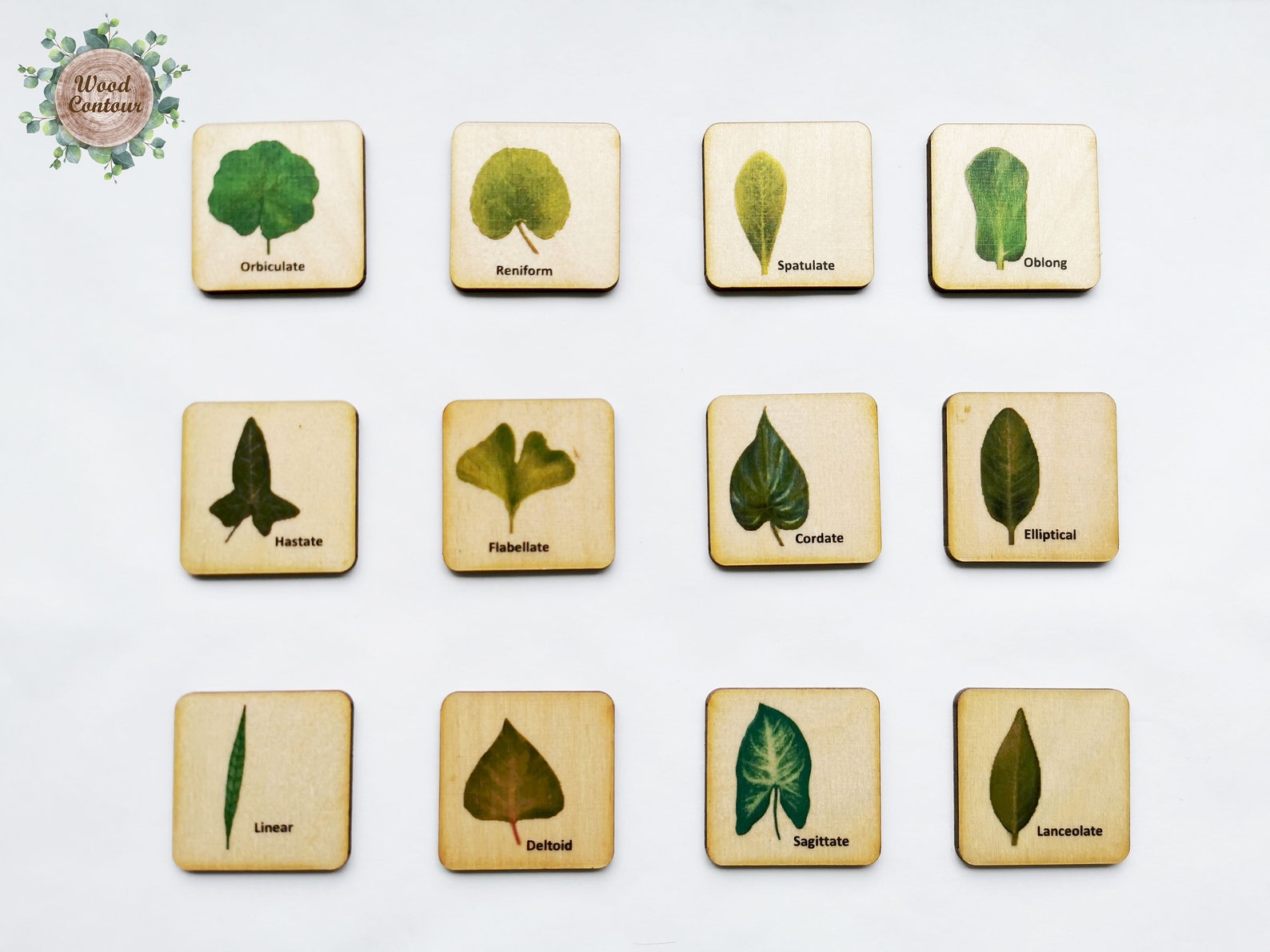 Montessori Wooden Botany Leaf Shapes Matching Cards/ - Etsy