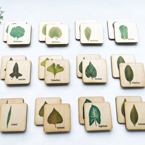 Montessori Wooden Botany Leaf Shapes Matching Cards/ Homeschool ...