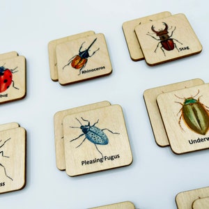 Wooden Beetle Memory Game/ Montessori Homeschool Kindergarten ...