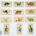 Montessori Wooden Dinosaur Puzzle Game/ Homeschool Preschooler ...