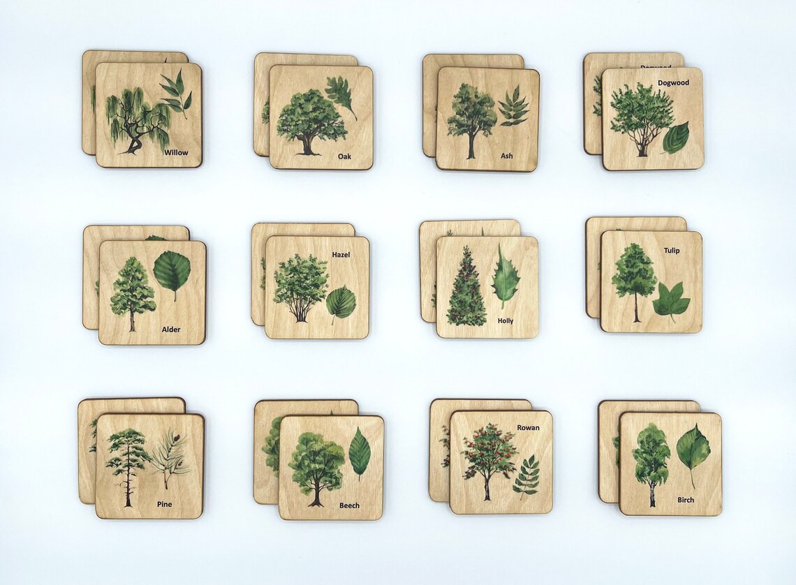 Wooden North American Tree Leaf Matching Game Montessori - Etsy