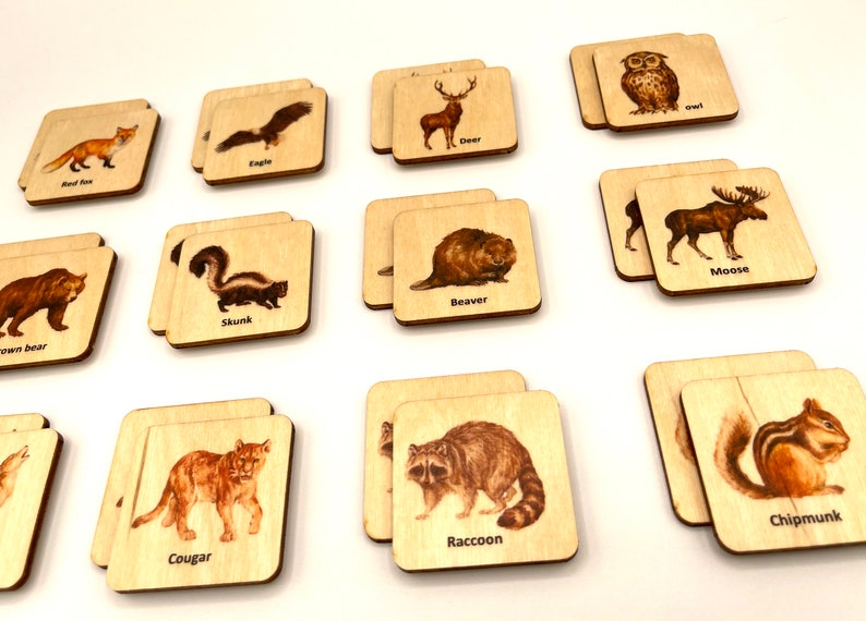 Montessori Wooden North America Animals/ Woodland Animals | Etsy