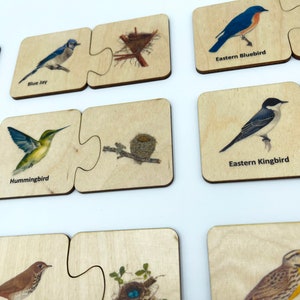 Montessori Wood Backyard Birds and Nests Matching Puzzle/ Homeschool ...