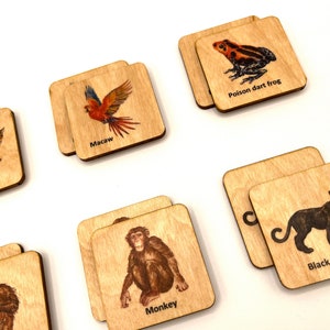 Montessori Rainforest Animals Matching Cards, Wooden South America ...