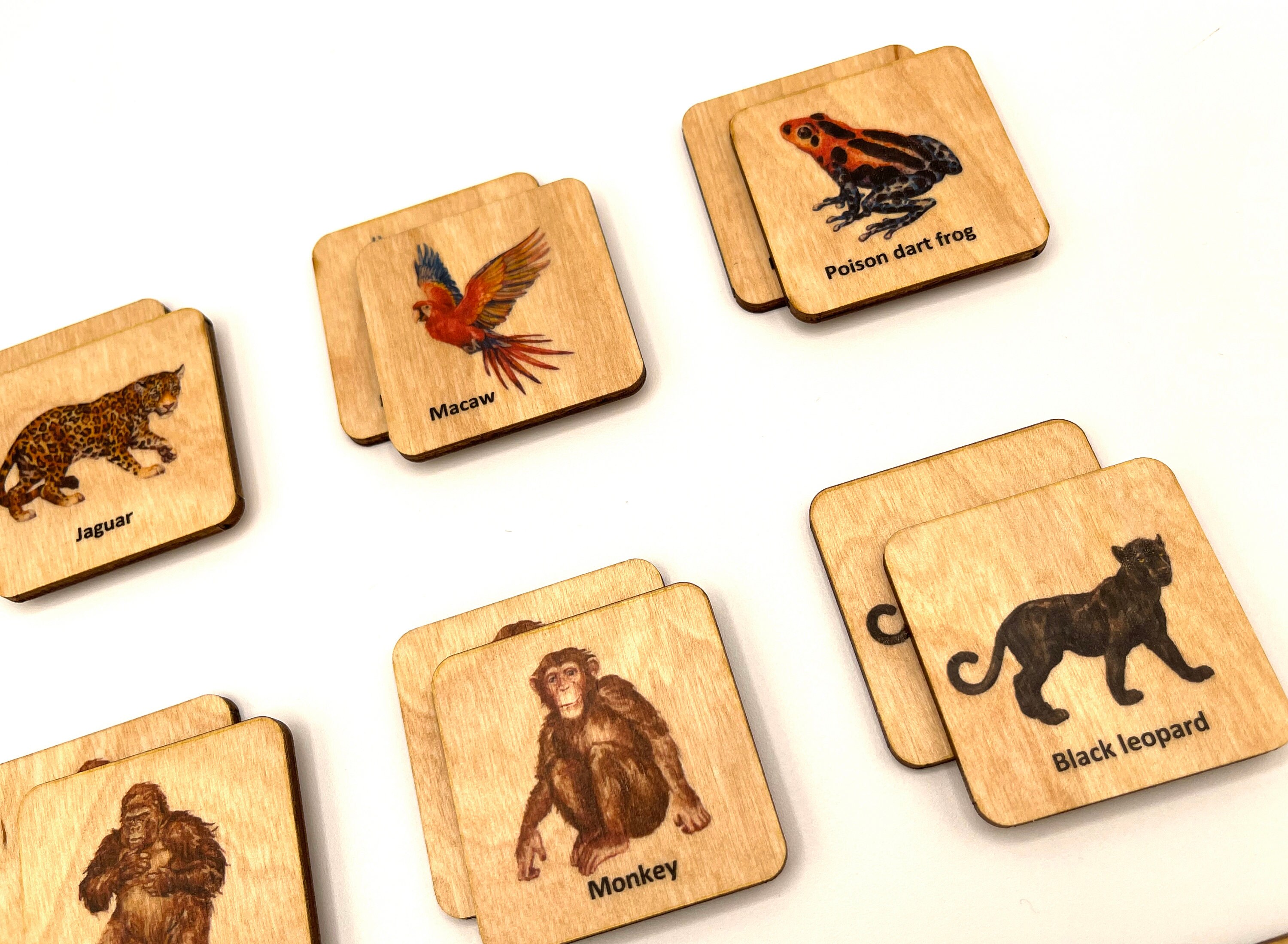 Montessori Rainforest Animals Matching Cards Wooden South | Etsy