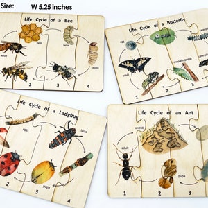 Montessori Life Cycle Puzzle Set/ Kids Learning Activity/ Homeschool ...