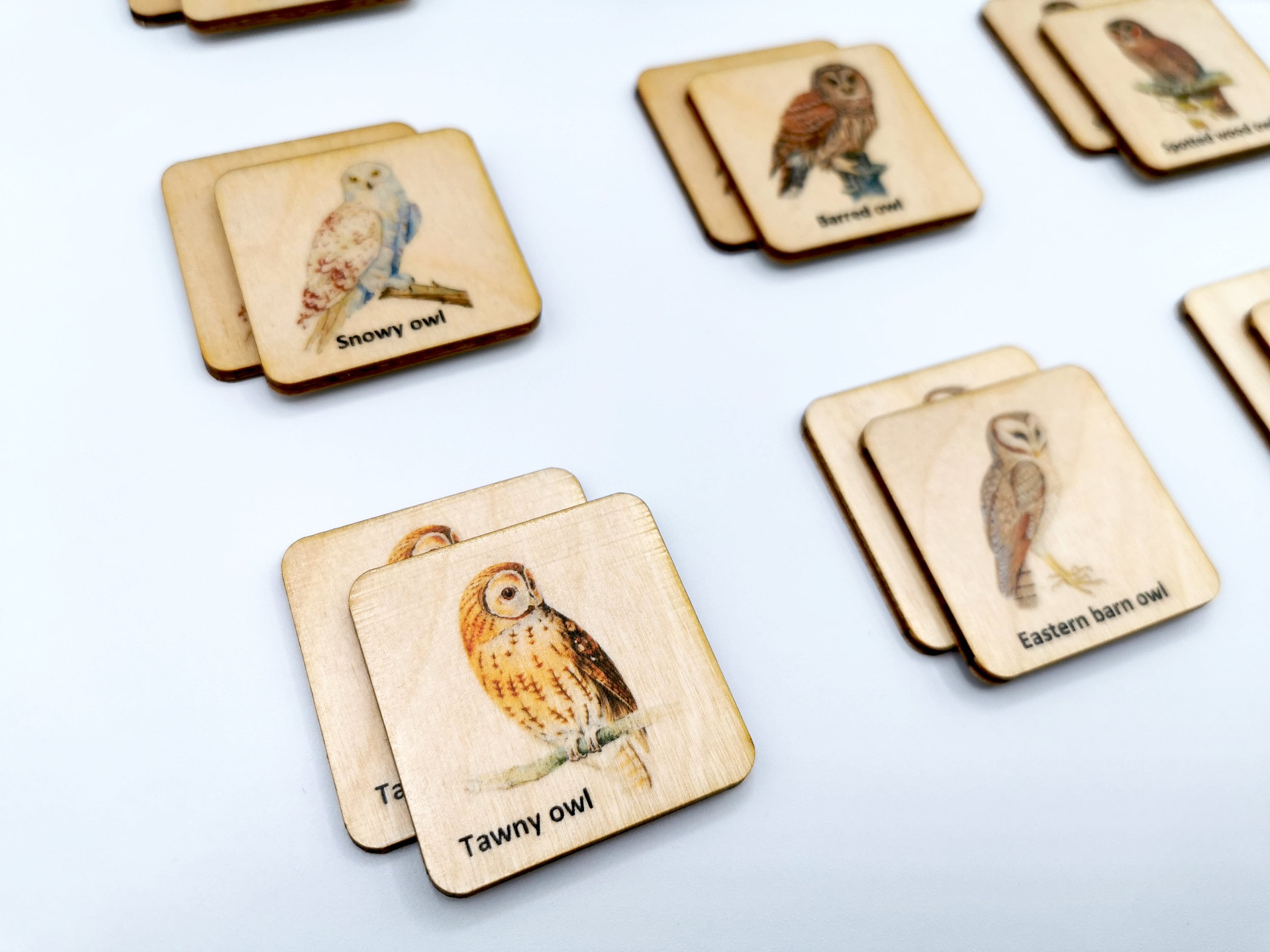 Montessori Wooden Owls Matching Game/memory Game Homeschool | Etsy