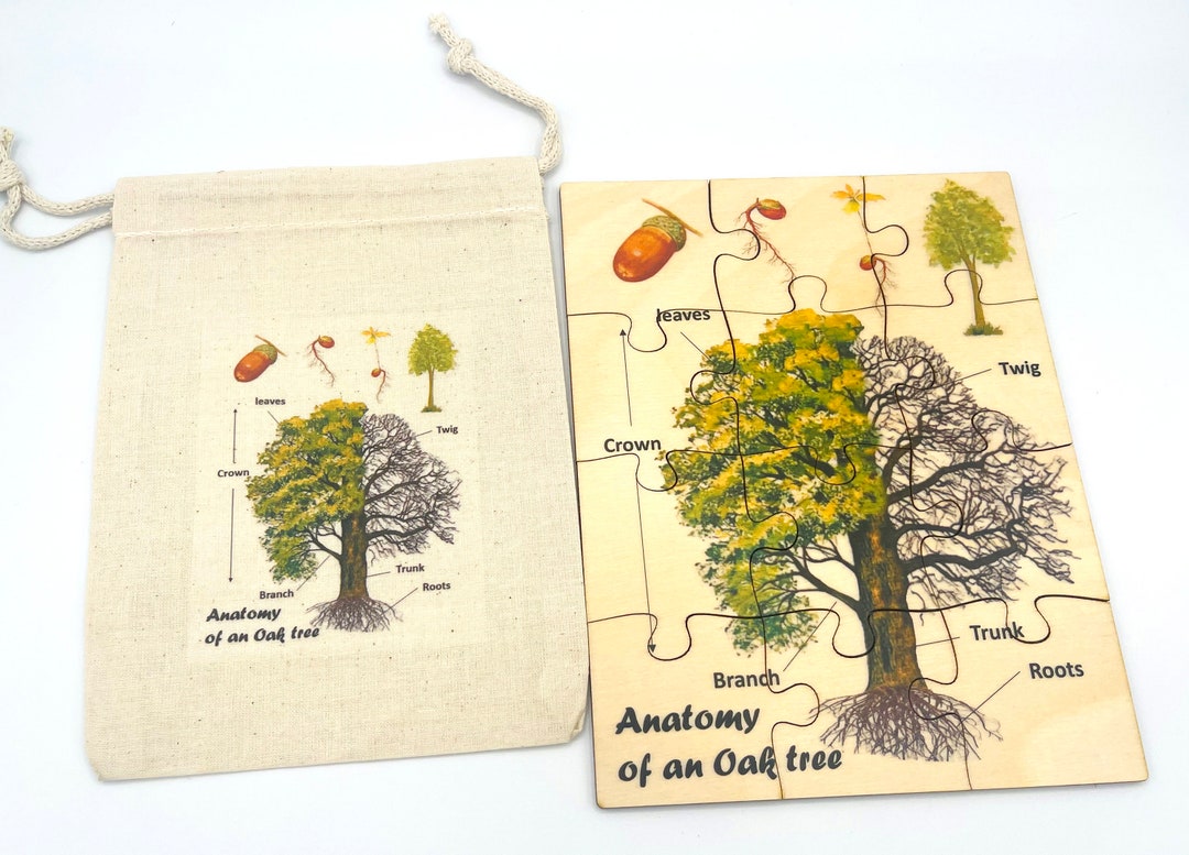 Montessori Wooden Tree Jigsaw Puzzle/ Wood Tree Anatomy Puzzle ...